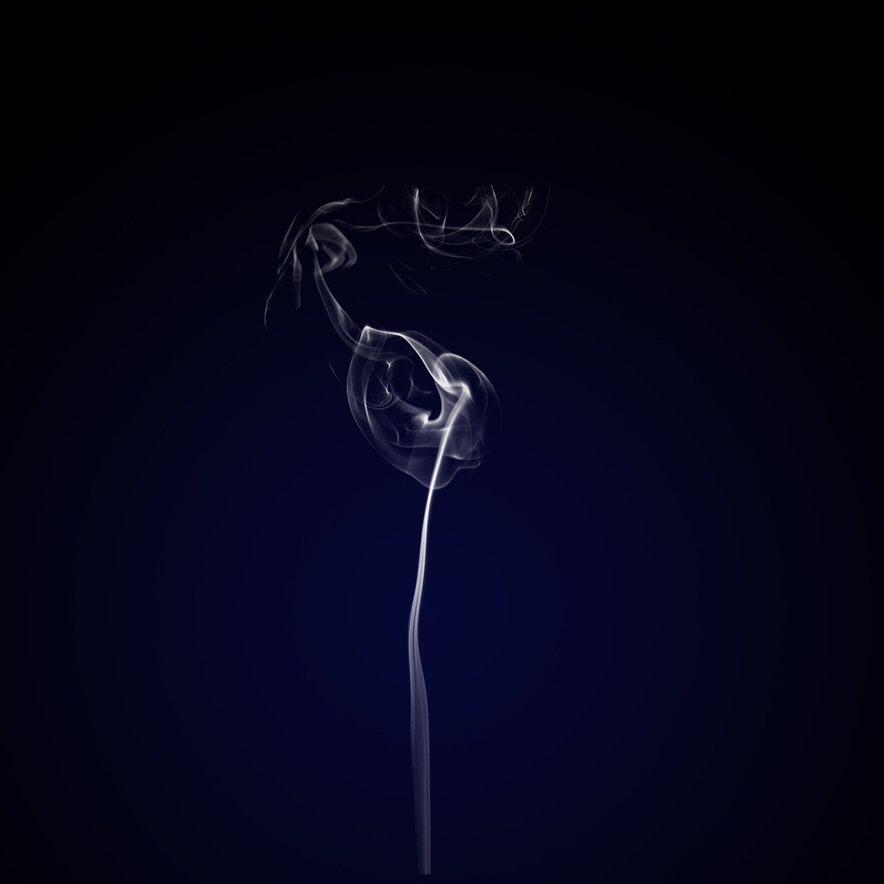 La cigarette est mon amie : la phrase avant l'arrêt - Alexia Maximin